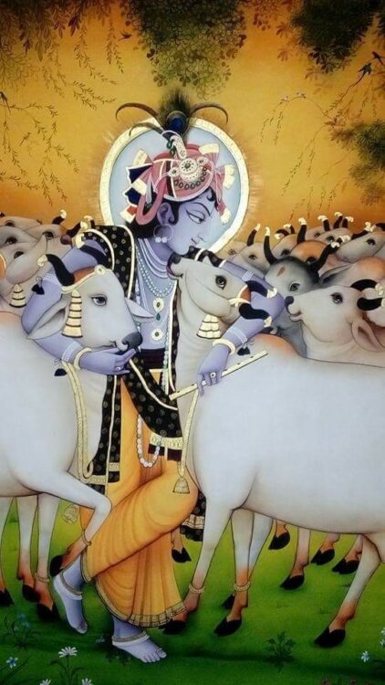 Krishna and his cows - Pichwai painting (2 x 3 feet) - International ...
